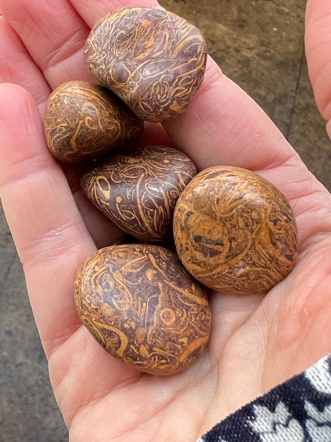 Calligraphy Stone / Fossil Jasper / Mariam Stone Crystal Tumblestone 20 ...
