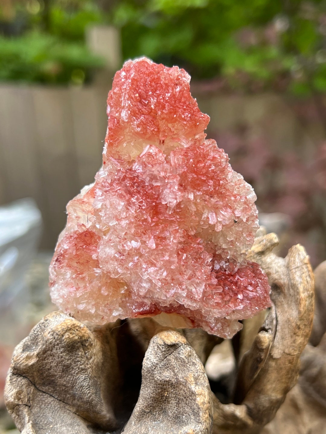 Sugared Red Stillbite Stilbite Cluster AAA 128g 15 - Etsy
