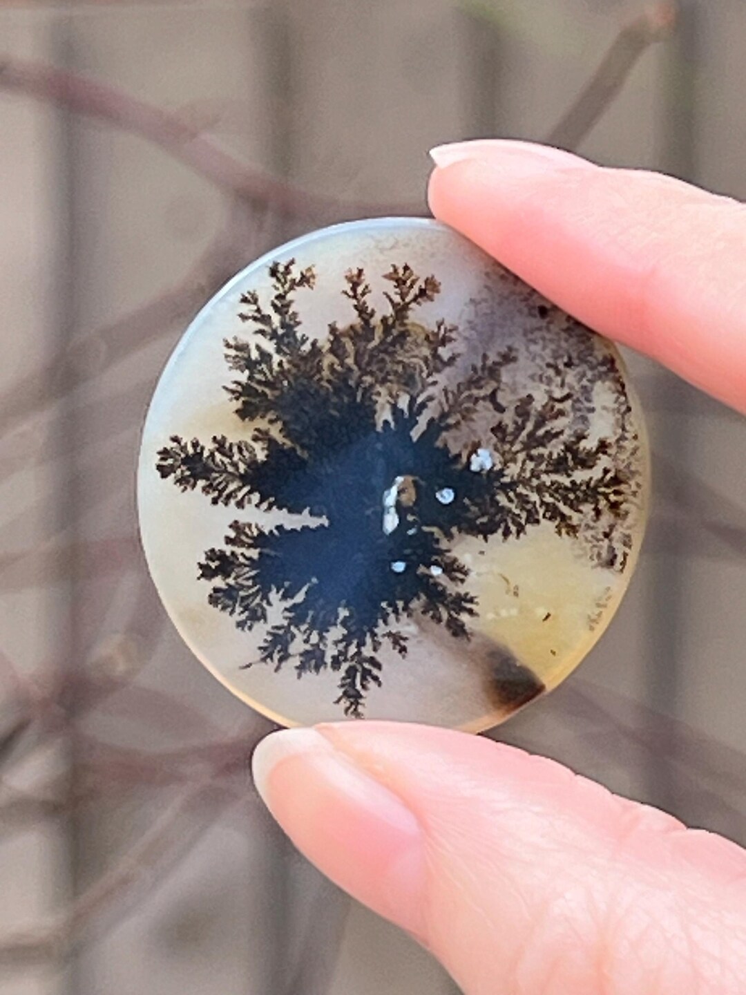 Large Shazar Dendrite / Dendritic Agate Polished Cabochon Rare Grade 6g ...