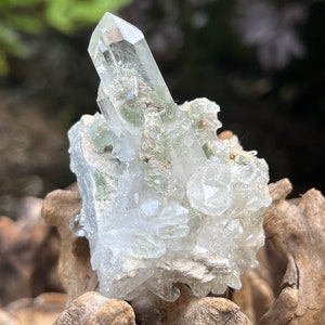 Chlorite Himalayan Lodolite Garden Quartz Green Quartz Cluster AAA ...