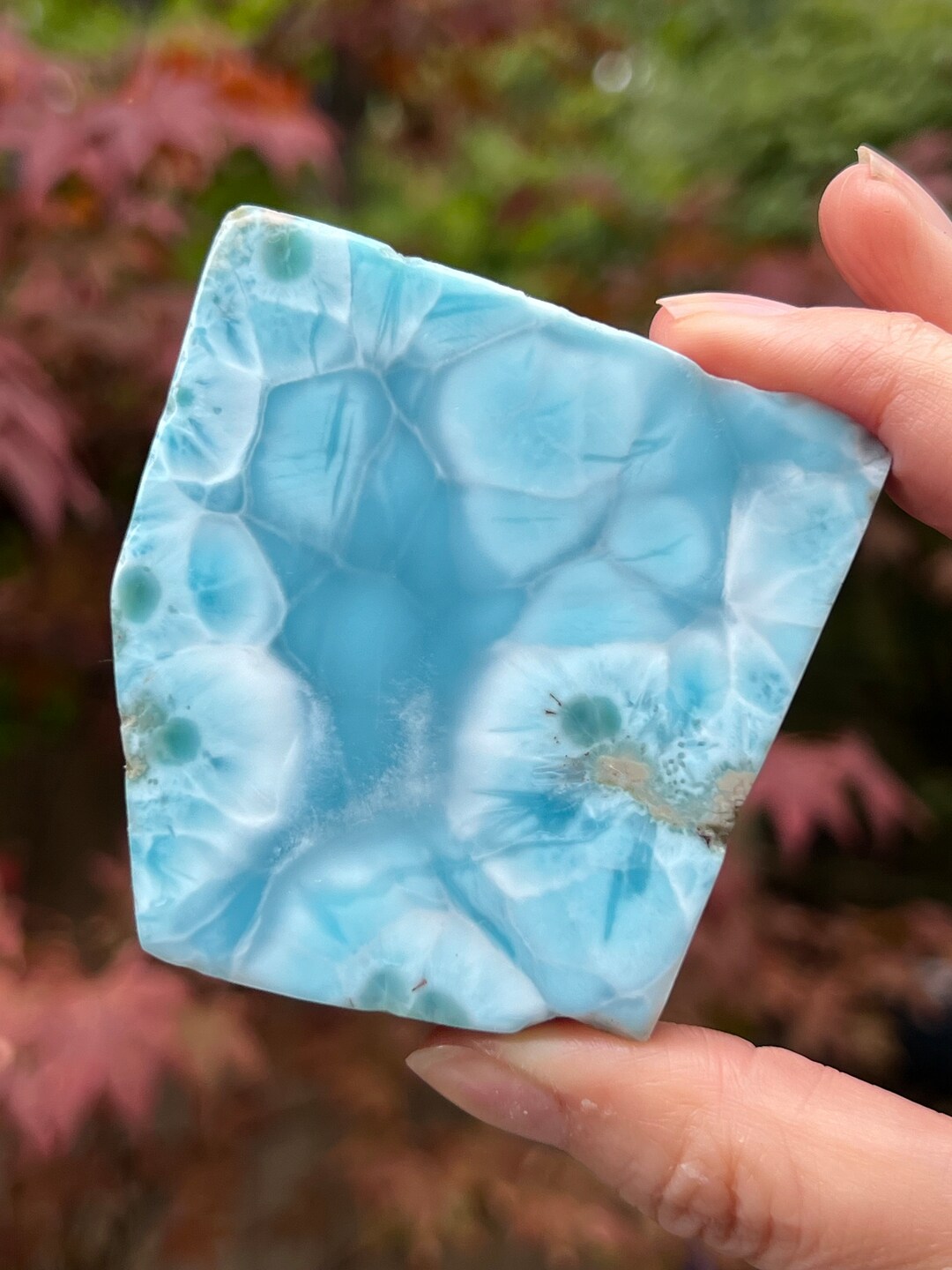 Large Larimar Slice Slab Dolphin Stone AAA : Deepest Blue A10 135g - Etsy