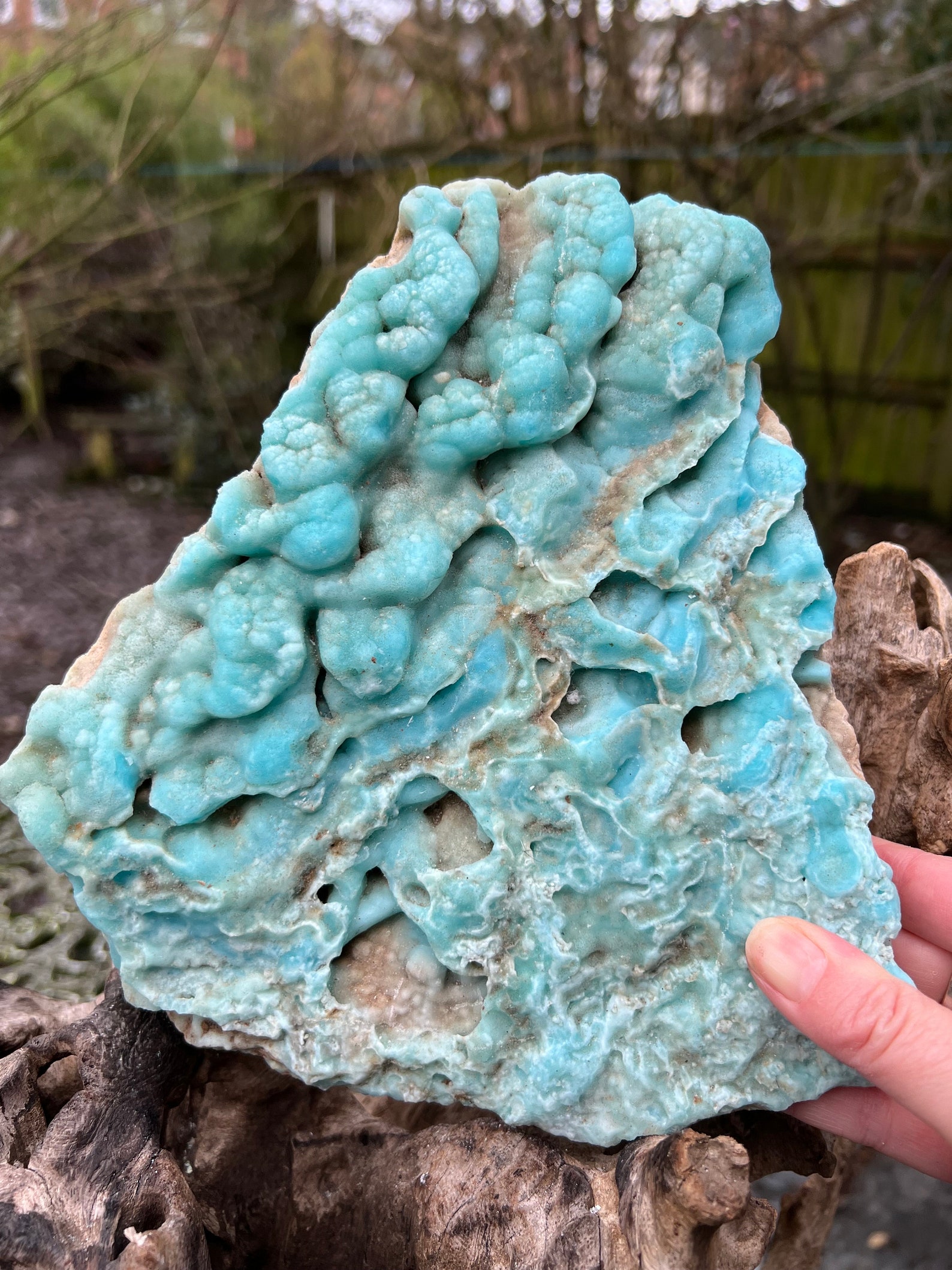 Blue Aragonite Specimen : Hope / Compassion / Empathy 2995g 11 - Etsy