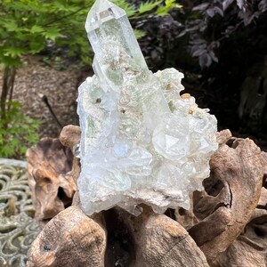 Chlorite Himalayan Lodolite Garden Quartz Green Quartz Cluster AAA ...