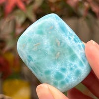 Rough Larimar/polished Geode ! - Etsy