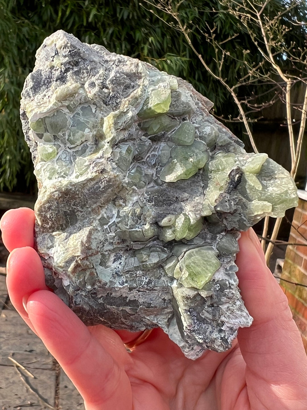 Peridot Rough Raw Cluster Specimen High Grade Crystal AAA+ 1 - Etsy