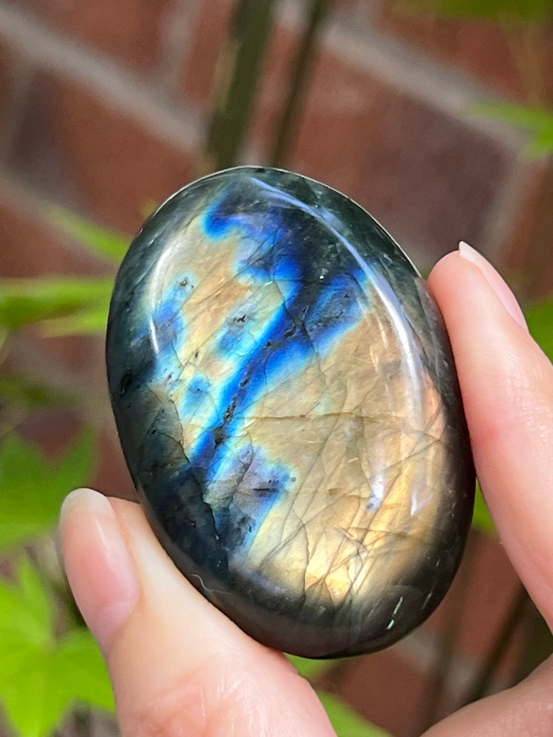 Labradorite Iridescent Blue Gold Sunset Crystal Palmstone AAA ...