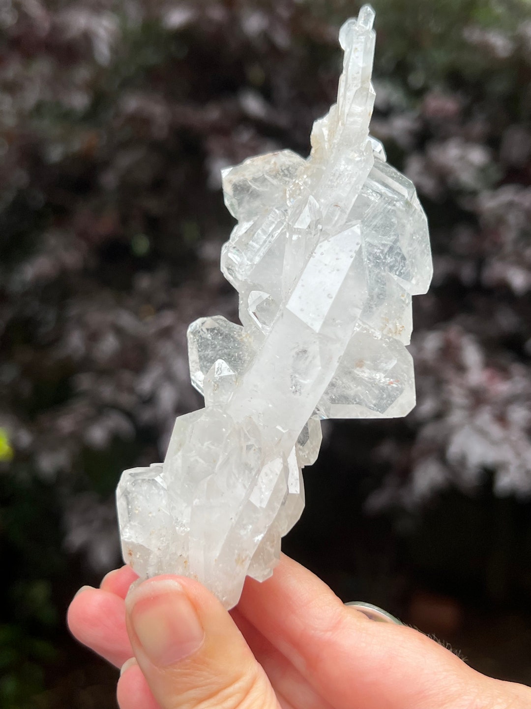 Faden Clear Quartz Himalayan Cluster Bed : Master Healer 150g 21a ...