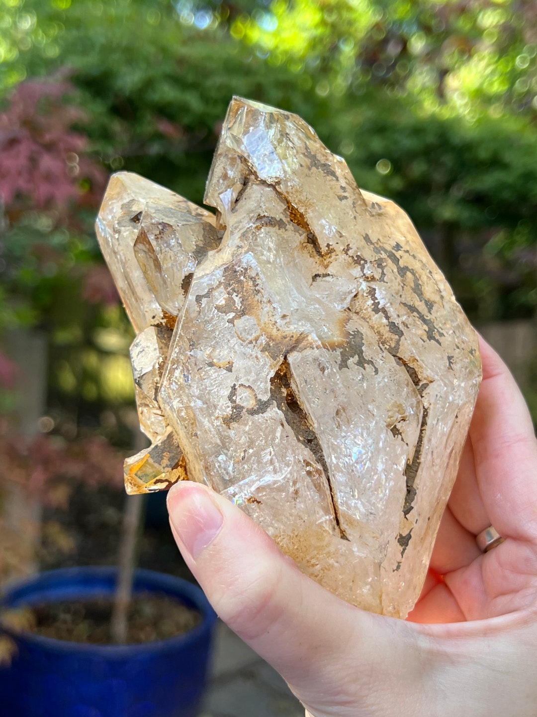 Fenster Window Elestial Clear Golden Quartz Crystal Large 746g 119 - Etsy
