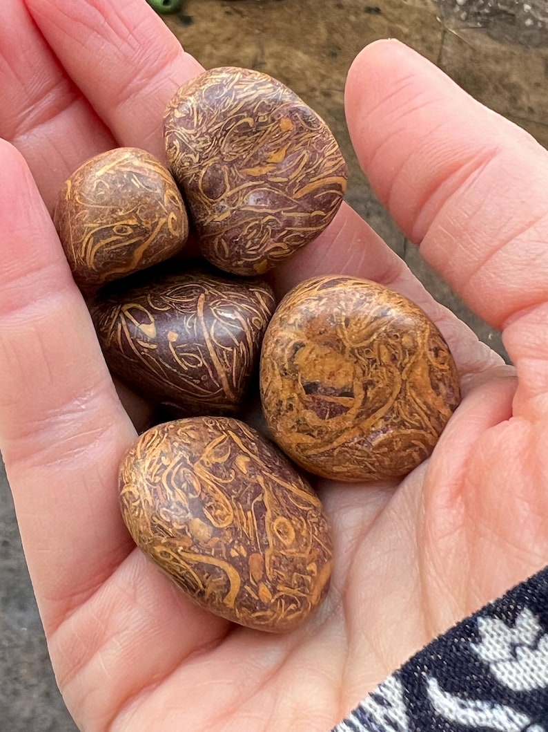 Calligraphy Stone / Fossil Jasper / Mariam Stone Crystal Tumblestone 20 ...