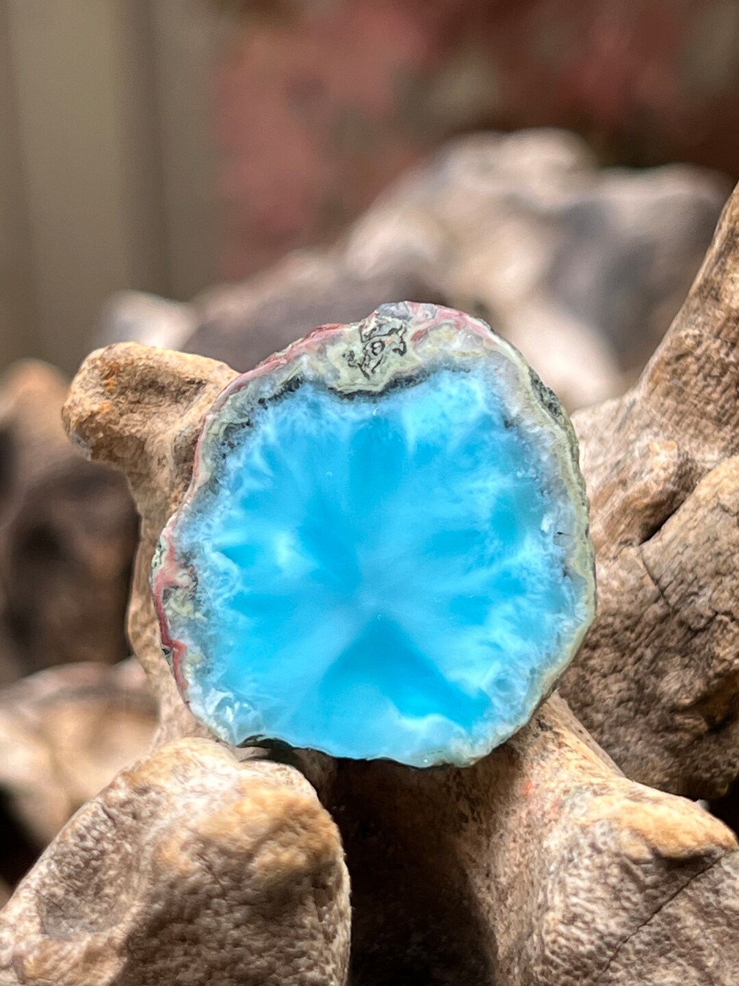 Large Larimar Circular Slice Slab Dolphin Stone AAA : Deepest Blue A7 ...