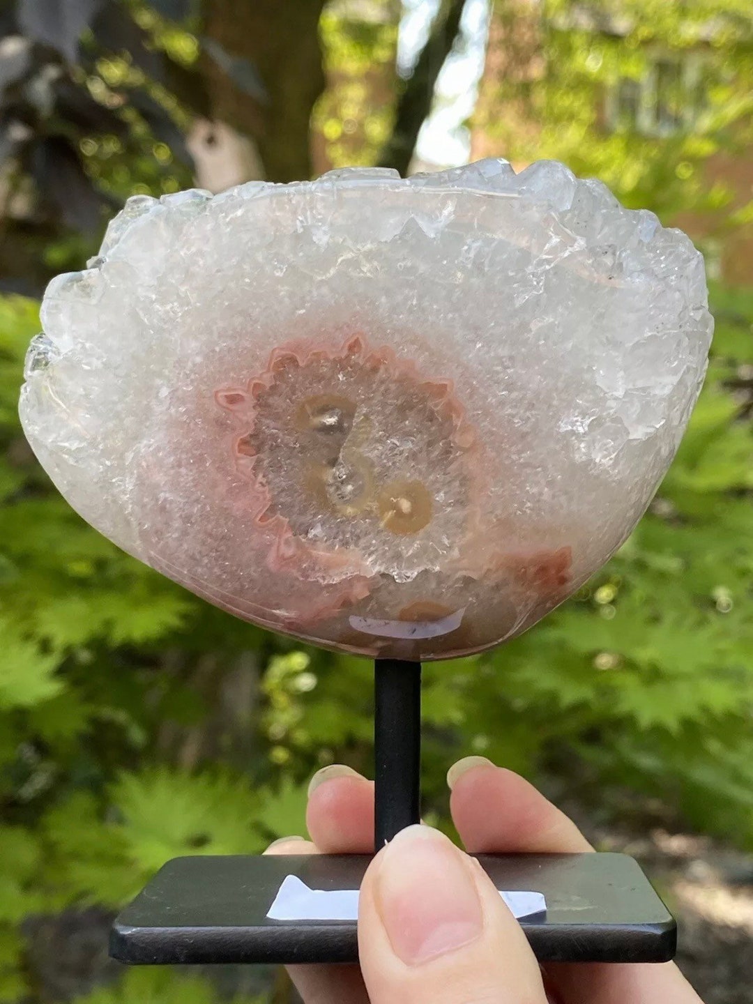 Amethyst Eye Flower Brazilian Geode on Stand AAA Tranquility ...