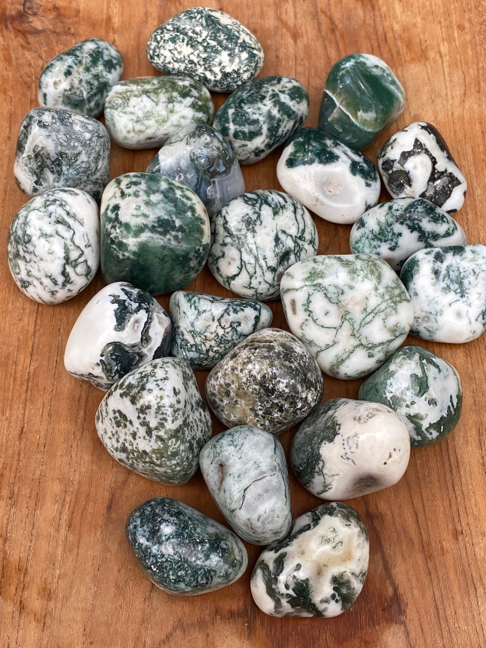 Tree Agate Tumblestones 30/40mm - Etsy