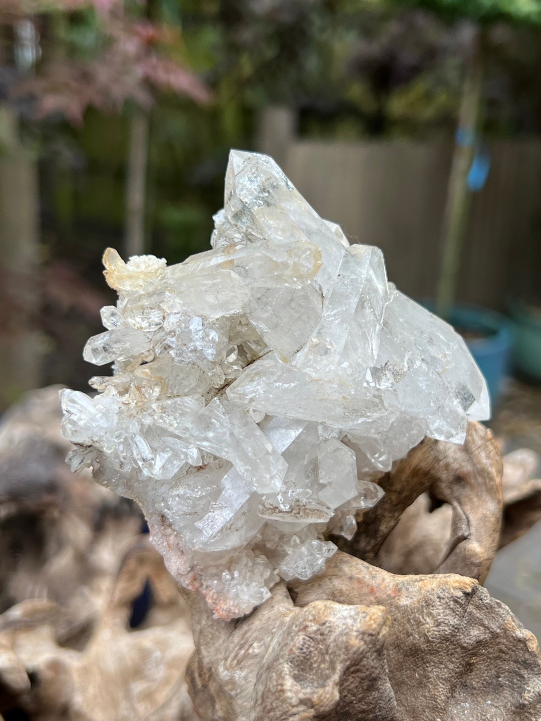 Himalayan Clear Quartz Cluster Multiple Points A12 188g - Etsy