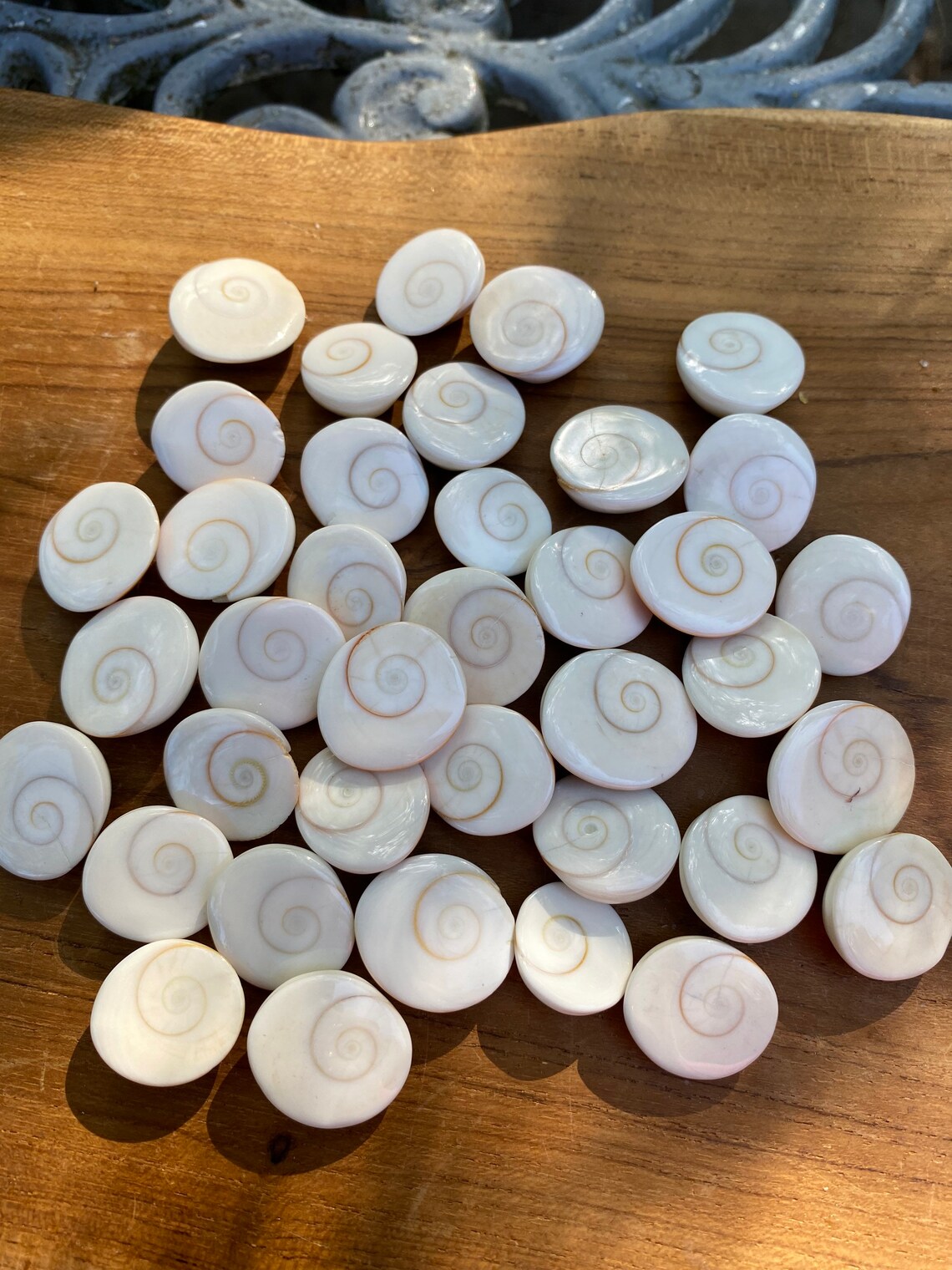 Shiva Shell Crystal AAA - Etsy