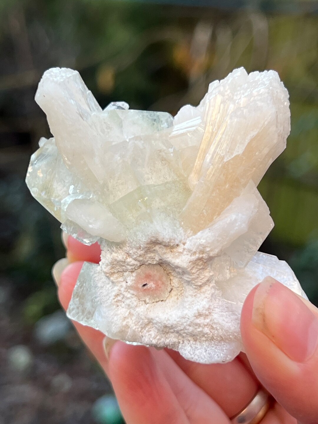 Green Large Cubic Apophyllite Rare Cluster AAA 2 117g - Etsy