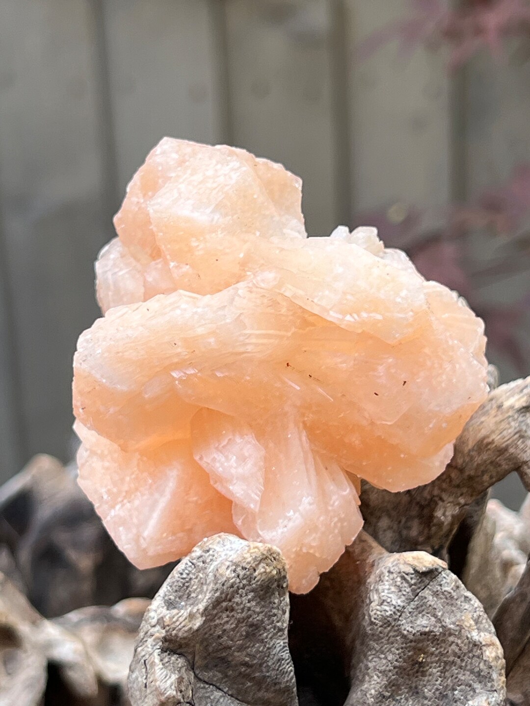Orange / Peach Stillbite / Stilbite Cluster AAA 171g 32 - Etsy