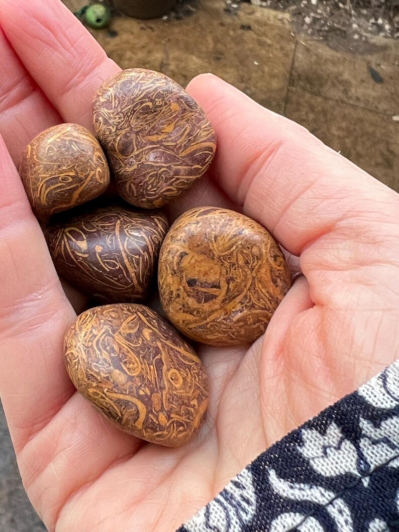 Calligraphy Stone / Fossil Jasper / Mariam Stone Crystal Tumblestone 20 ...