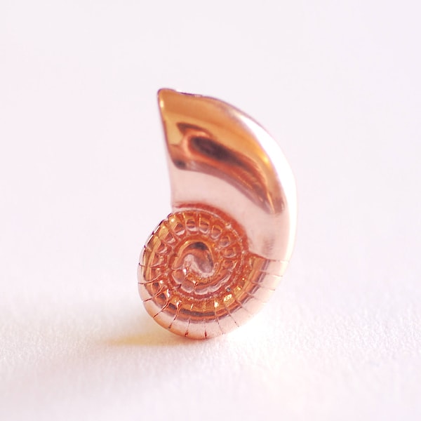 Rose Nautilus Conch Shell - Etsy