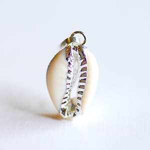 Rhodium Plated Real Natural Cowrie Shell, Natural Rhodium Silver Dipped ...