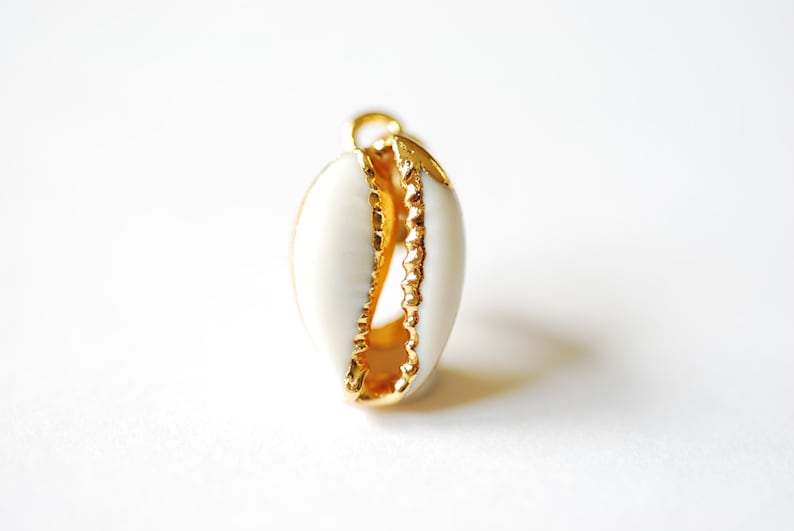 24k Gold Dipped Real Natural Cowrie Shell Natural Gold Dipped - Etsy
