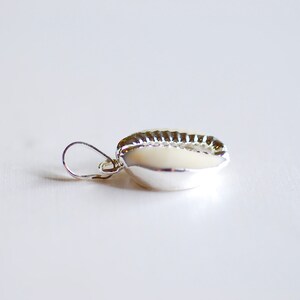 Rhodium Plated Real Natural Cowrie Shell, Natural Rhodium Silver Dipped ...