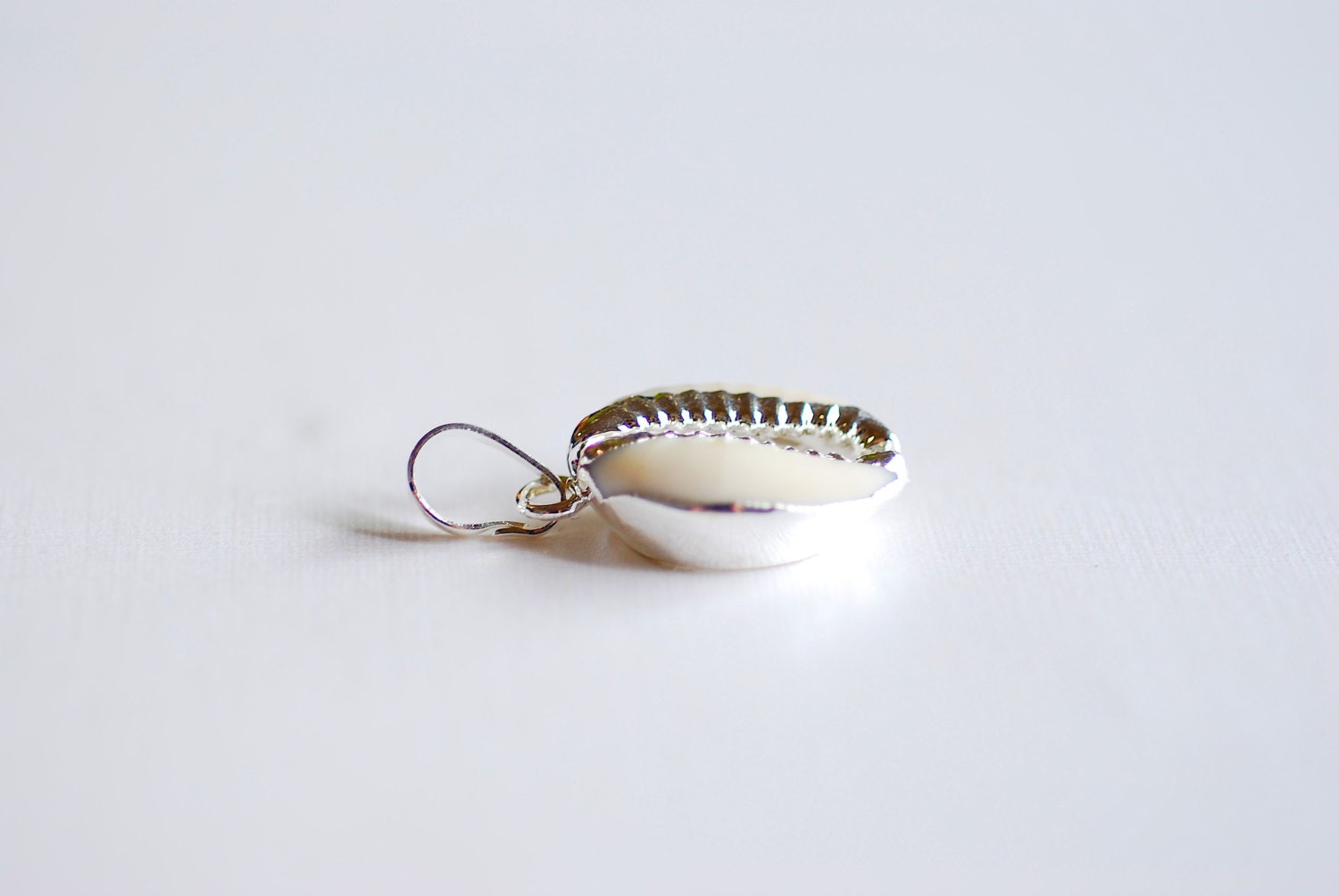 Rhodium Plated Real Natural Cowrie Shell, Natural Rhodium Silver Dipped ...