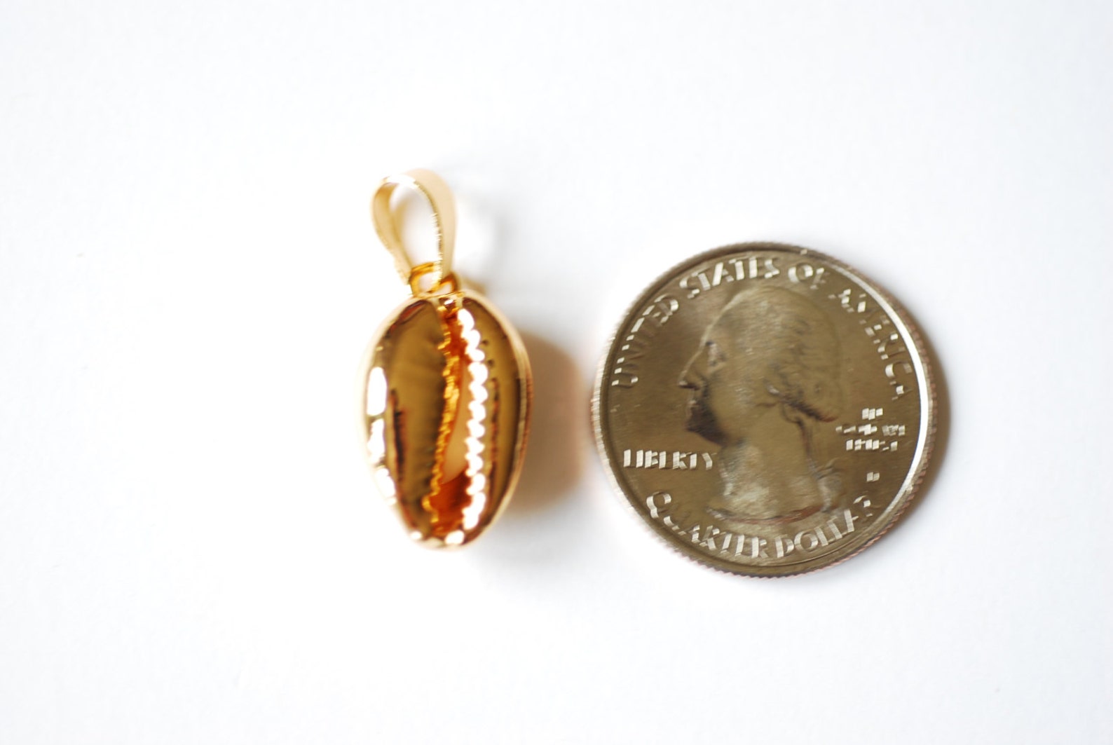 24k Gold Dipped Real Natural Cowrie Shell, Natural Gold Dipped Shell ...