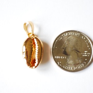 24k Gold Dipped Real Natural Cowrie Shell, Natural Gold Dipped Shell ...