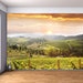 Italy Tuscany Sunrise Vineyards Large Wall Mural, Self-adhesive Vinyl ...