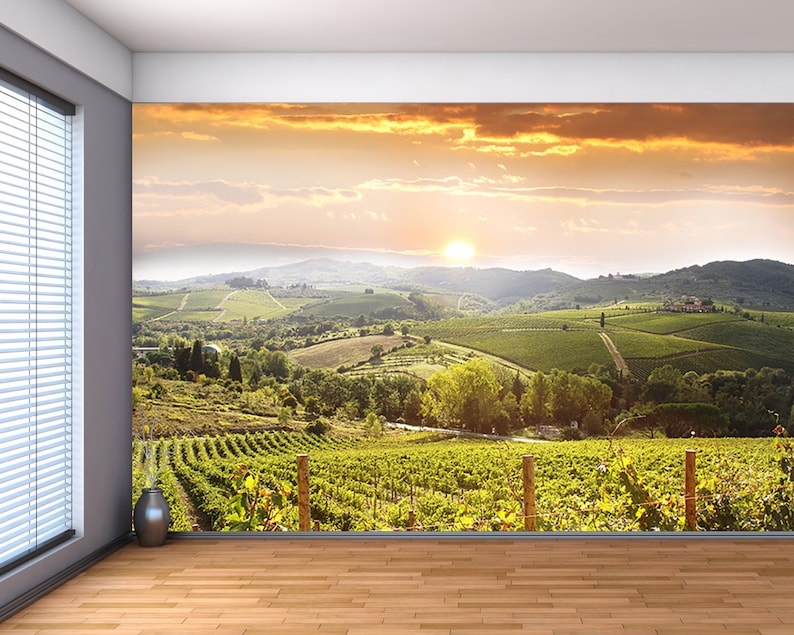 Italy Tuscany Sunrise Vineyards Large Wall Mural | Etsy
