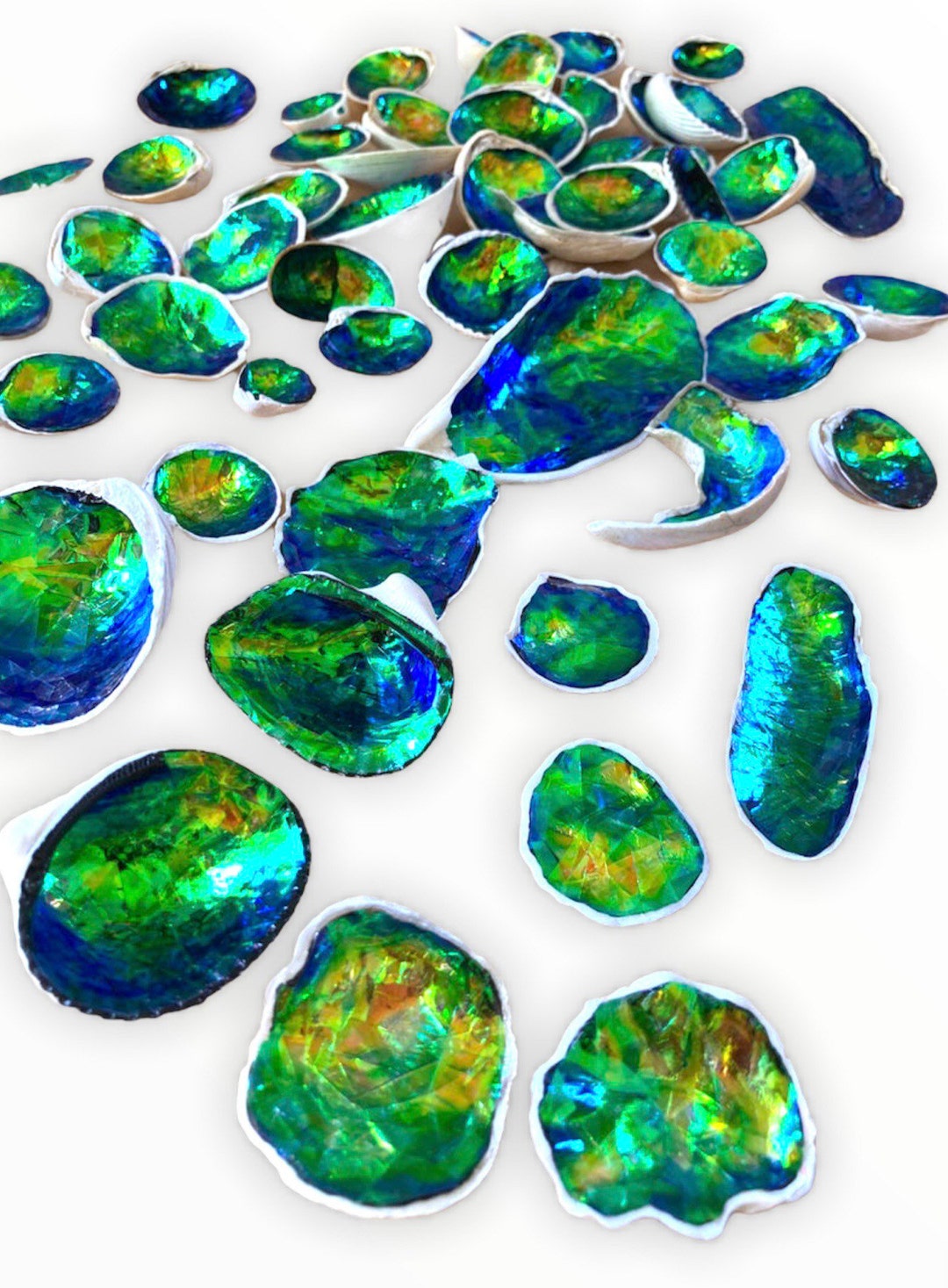 Beetlewing Shell Set - Etsy