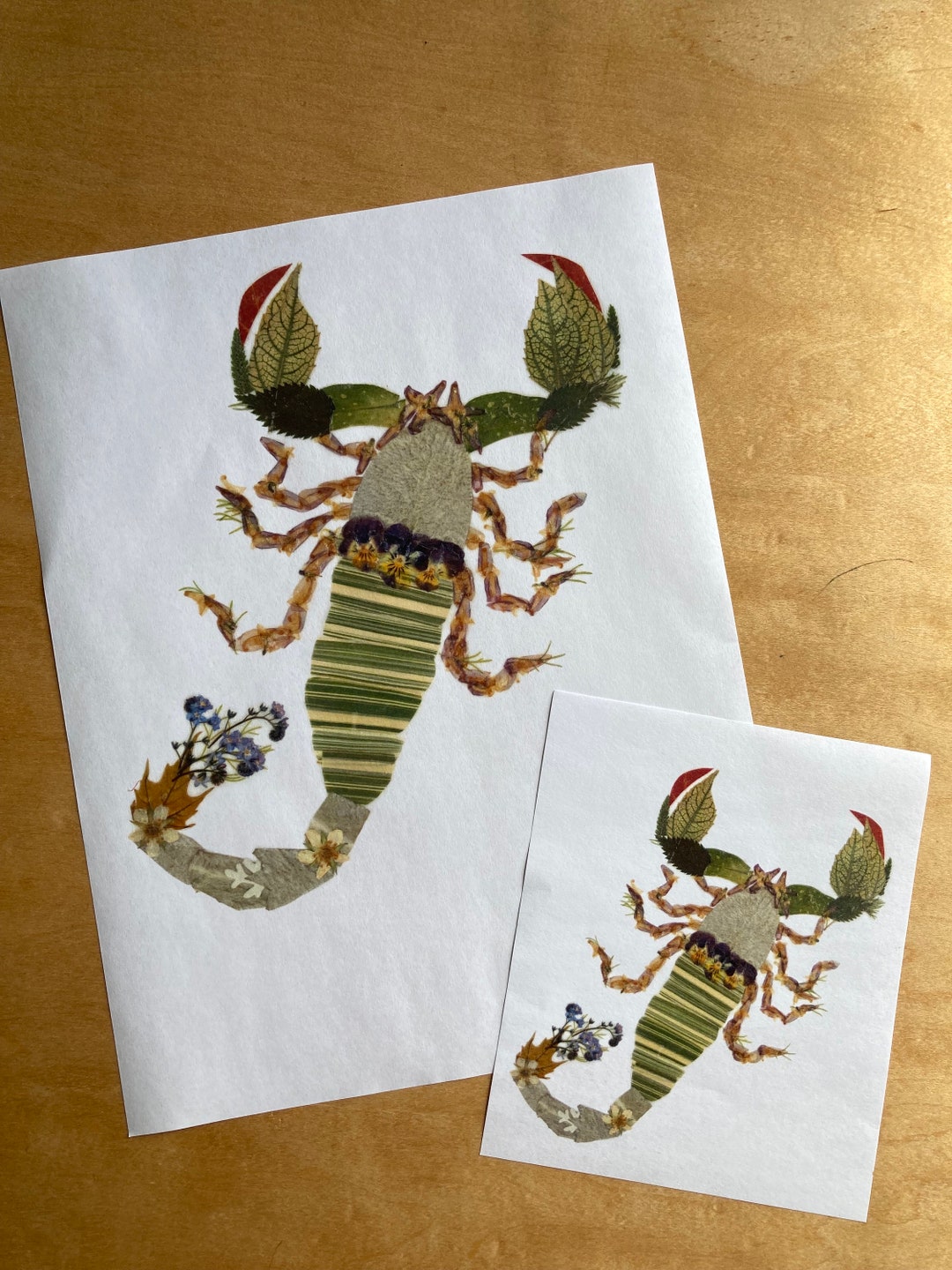 Pressed Flower Scorpion Art - Etsy