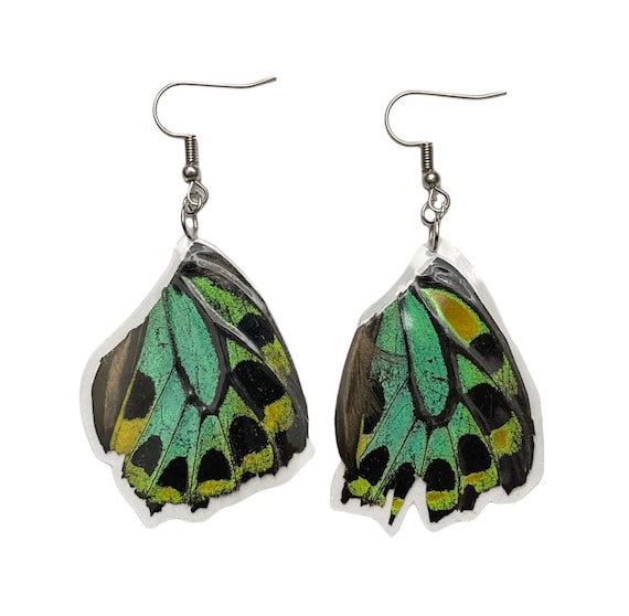 Butterfly Wing Earrings | Etsy