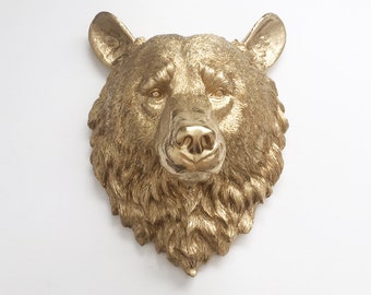 Bear Head Wall Mount - Etsy