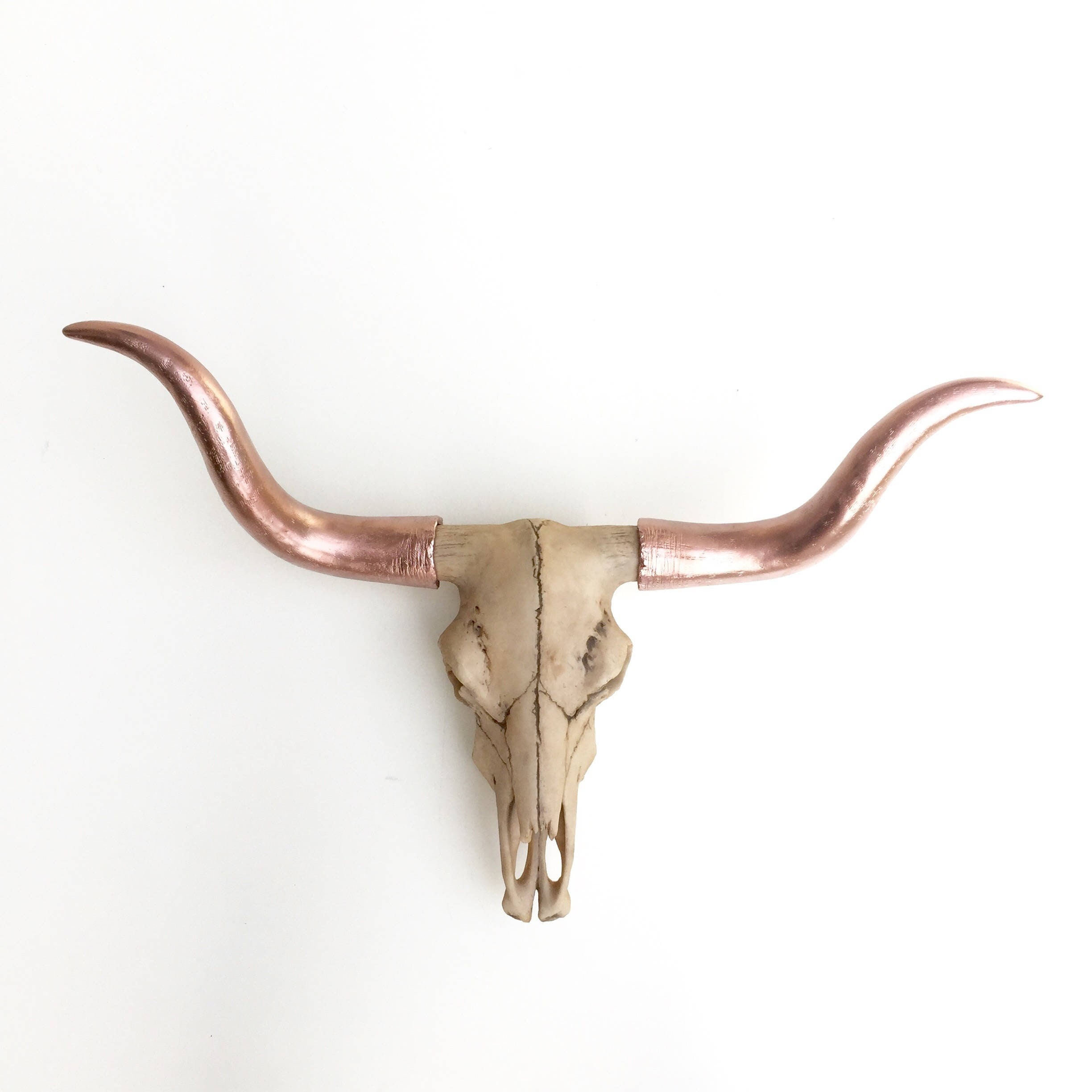 Kids Coloring Pages Of Longhorn Cow Skulls