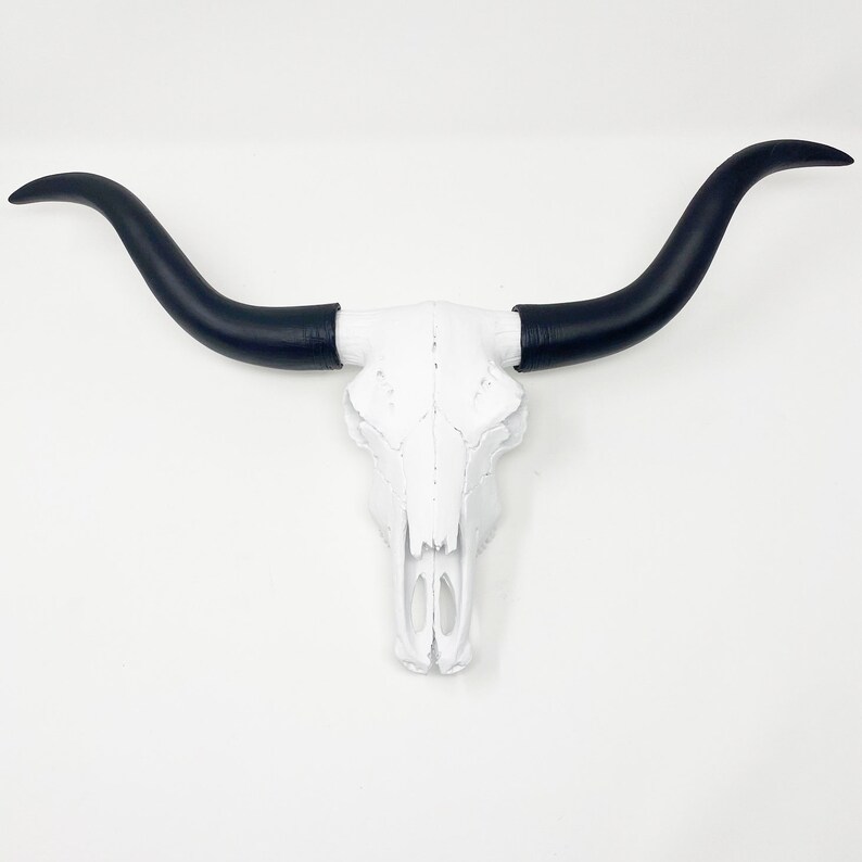 ANY COLOR Longhorn Cow Skull Wall Mount Faux Taxidermy | Etsy