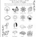 Nature Walk I Spy & Color Page, DIGITAL Download, Activities for Kids ...