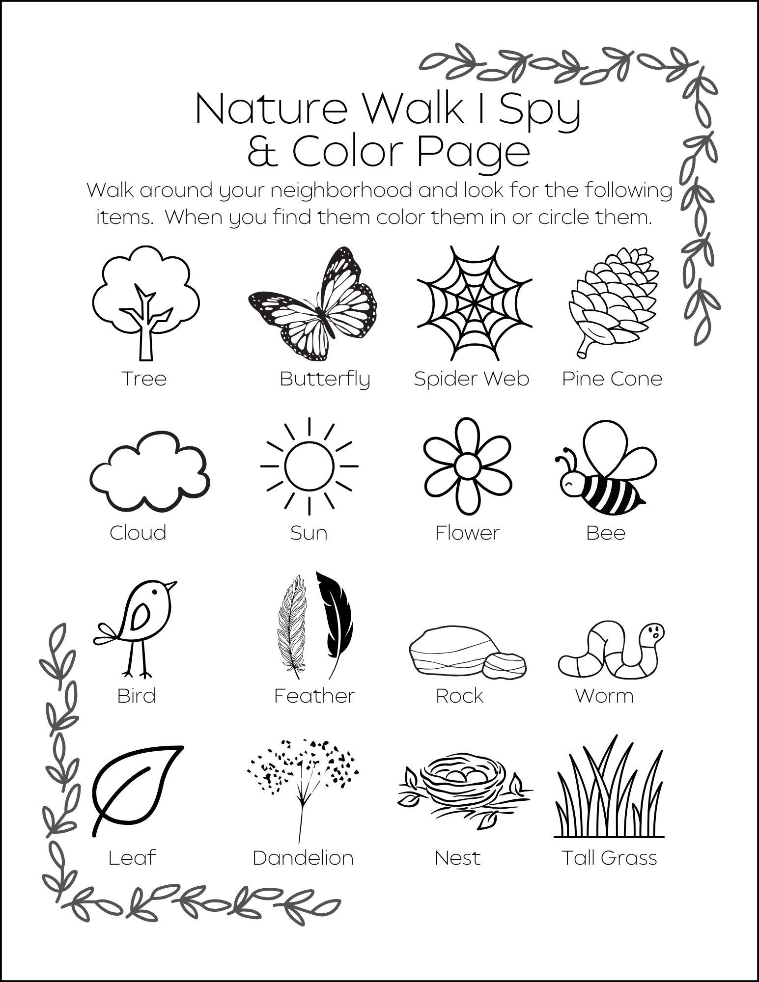 Nature Walk I Spy & Color Page, DIGITAL Download, Activities for Kids ...