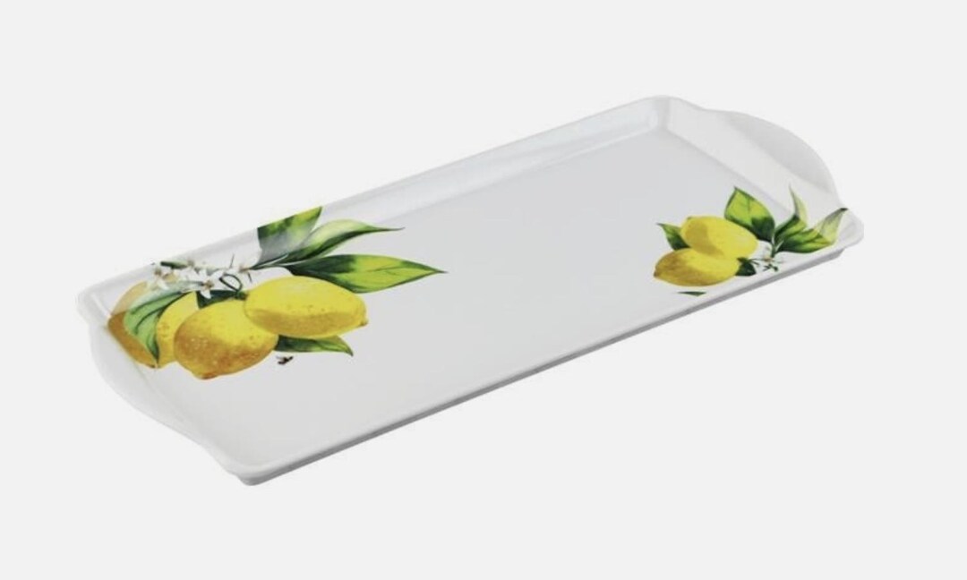 NEW Reston Lloyd Multi-purpose 18 Rectangle Melamine Plastic Handled ...