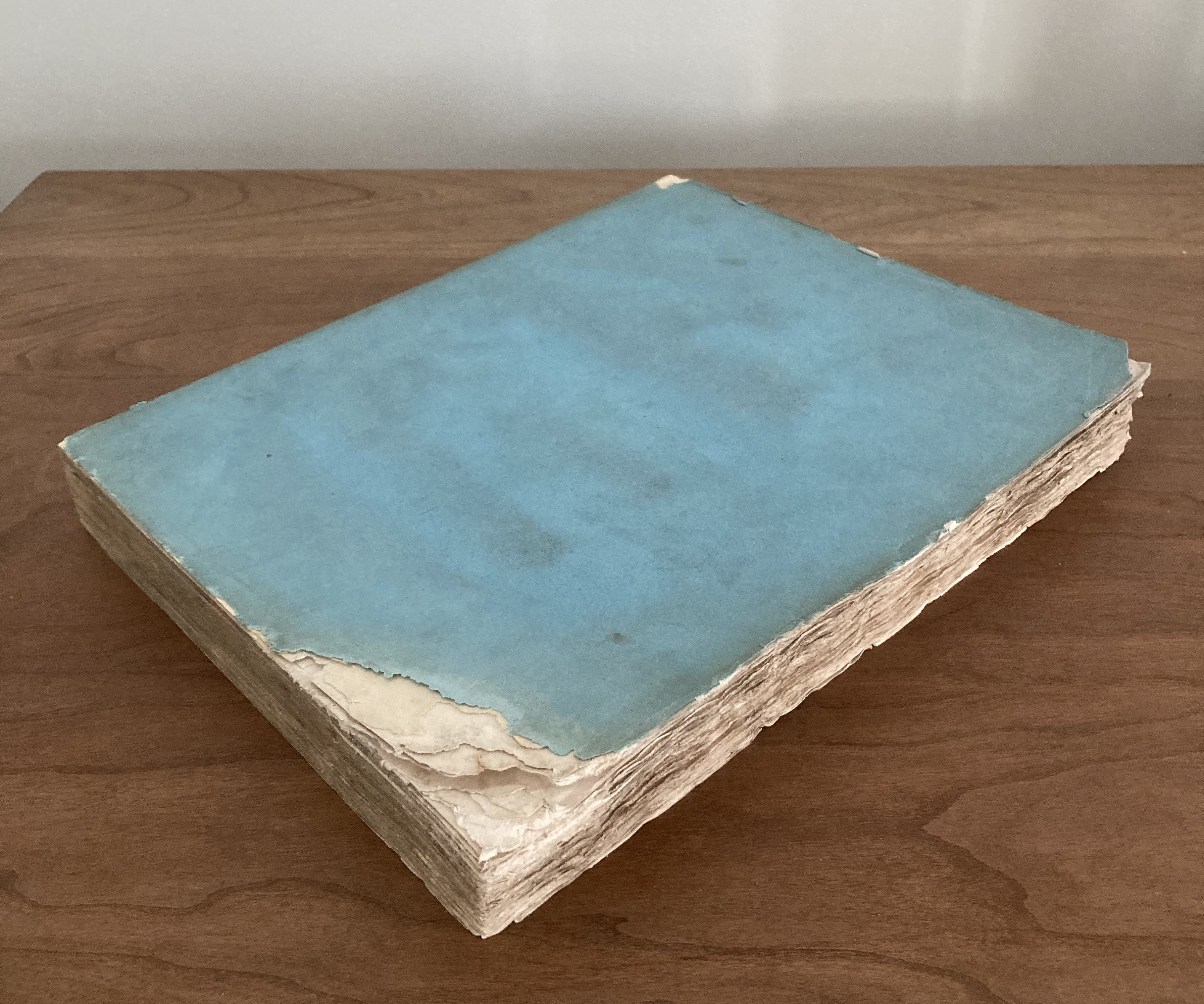 Large Antique Ruffled Page French Book With Engravings - Etsy