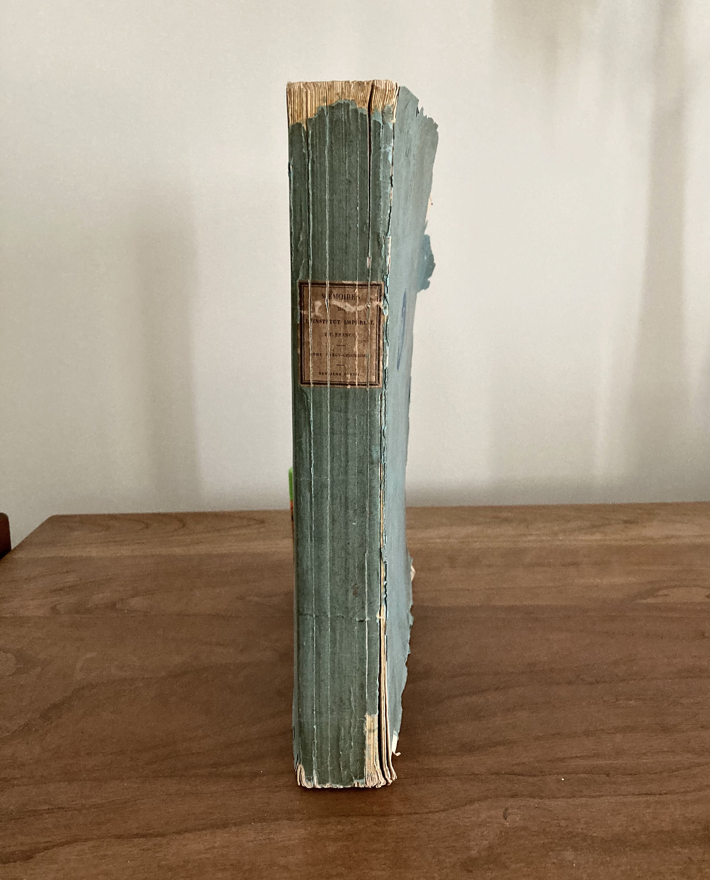 Large Antique Ruffled Page French Book With Engravings - Etsy