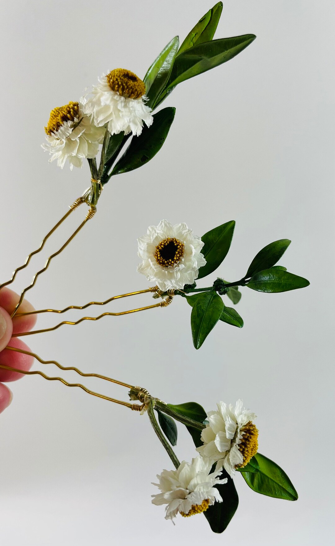 Dried Daisy Flower - Wedding Hair Pins - Boxwood Hair Pins - Greenery ...