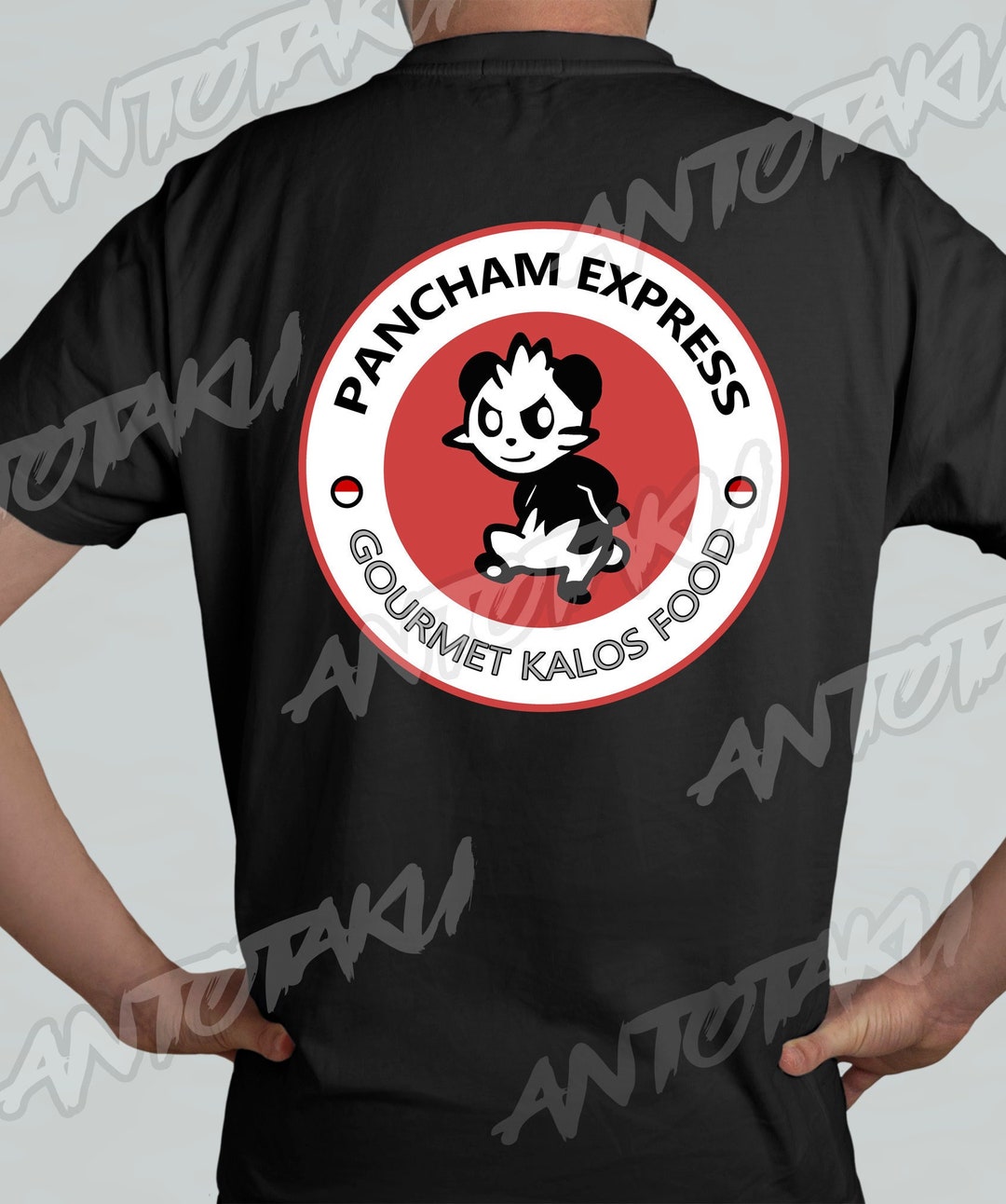 Pancham Express Shirt Pokemon Panda Funny - Etsy