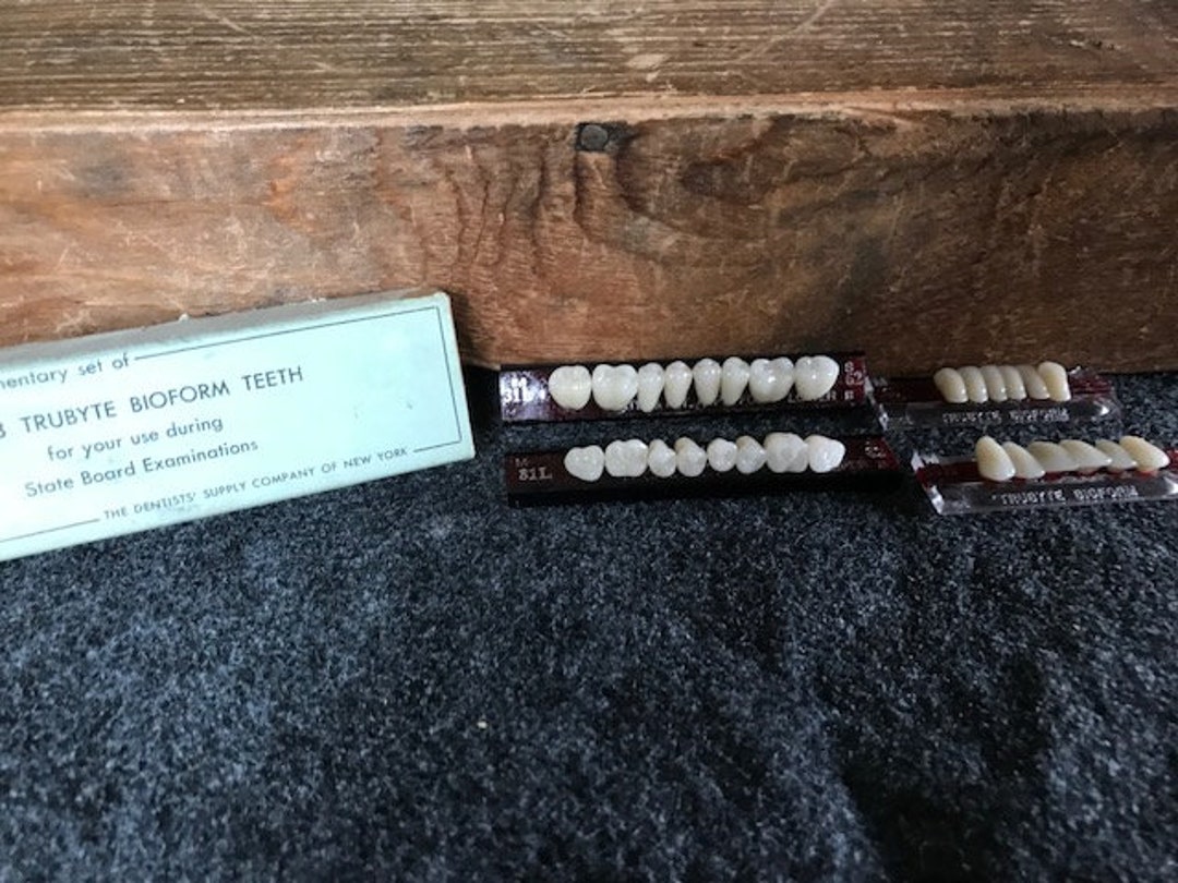 Vintage Dentistry Trubyte Bioform Teeth - Etsy