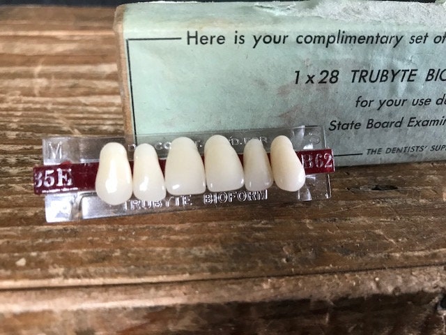 Vintage Dentistry Trubyte Bioform Teeth | Etsy