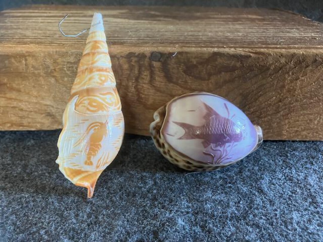 Carved Sea Shells - Etsy