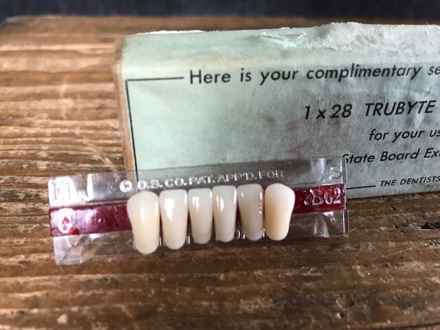 Vintage Dentistry Trubyte Bioform Teeth | Etsy