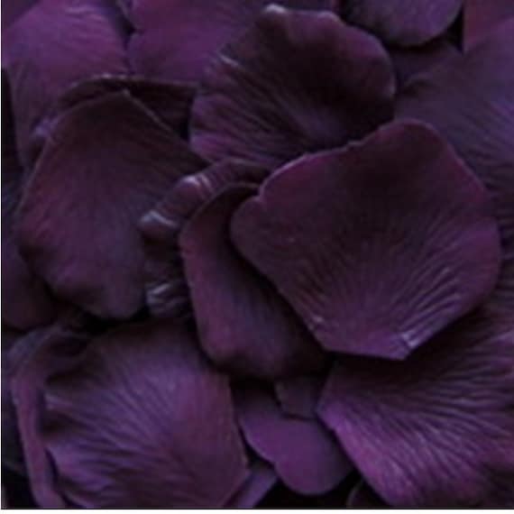 Deep Purple Color
