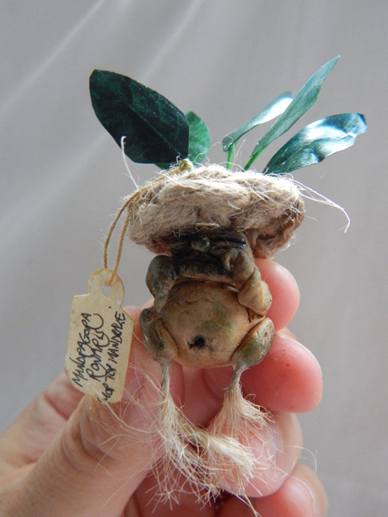 Ooak Hand Modelled Mini Mandrake in a Pot | Etsy