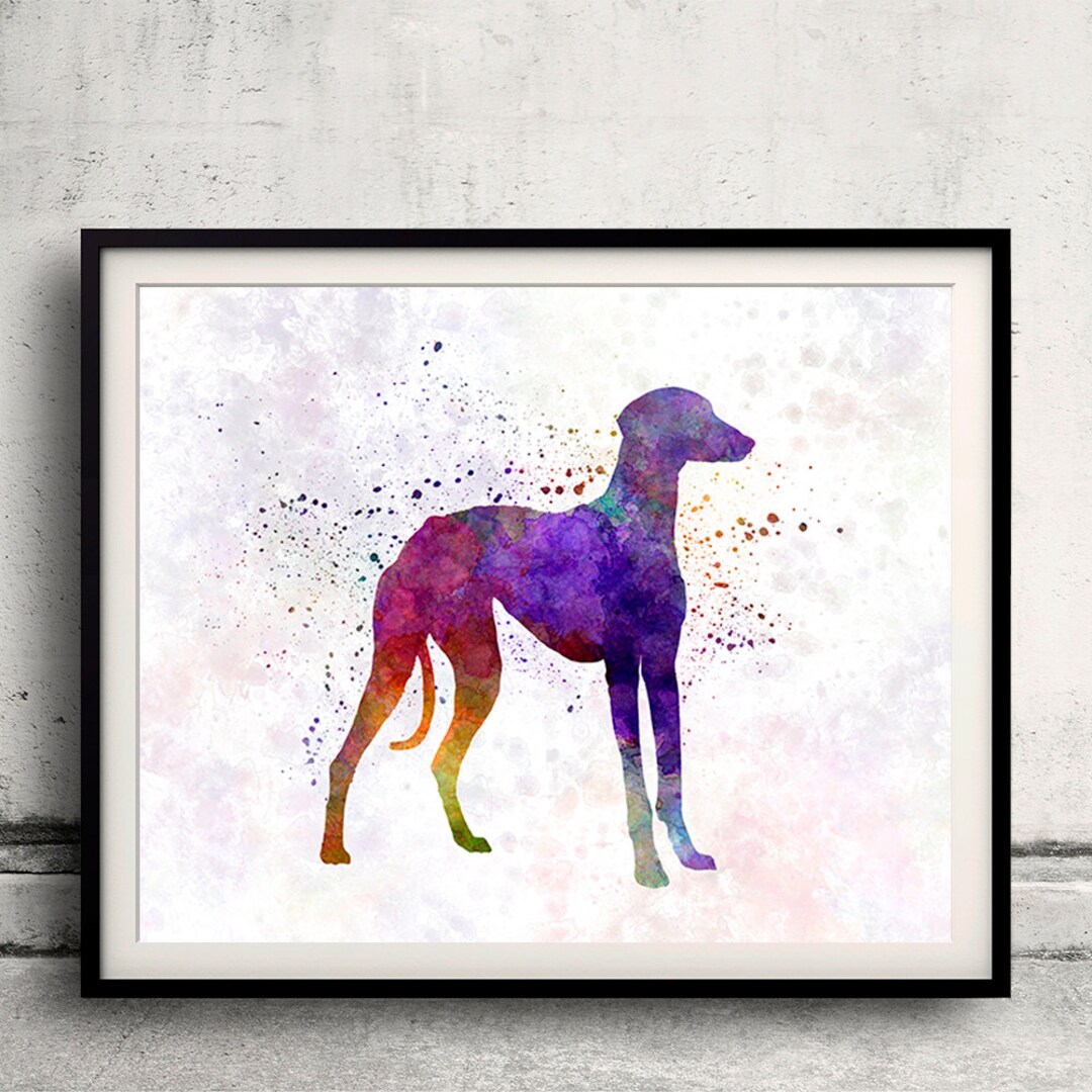 Arabian Greyhound 01 in Watercolor - Fine Art Print Glicee Poster Decor ...